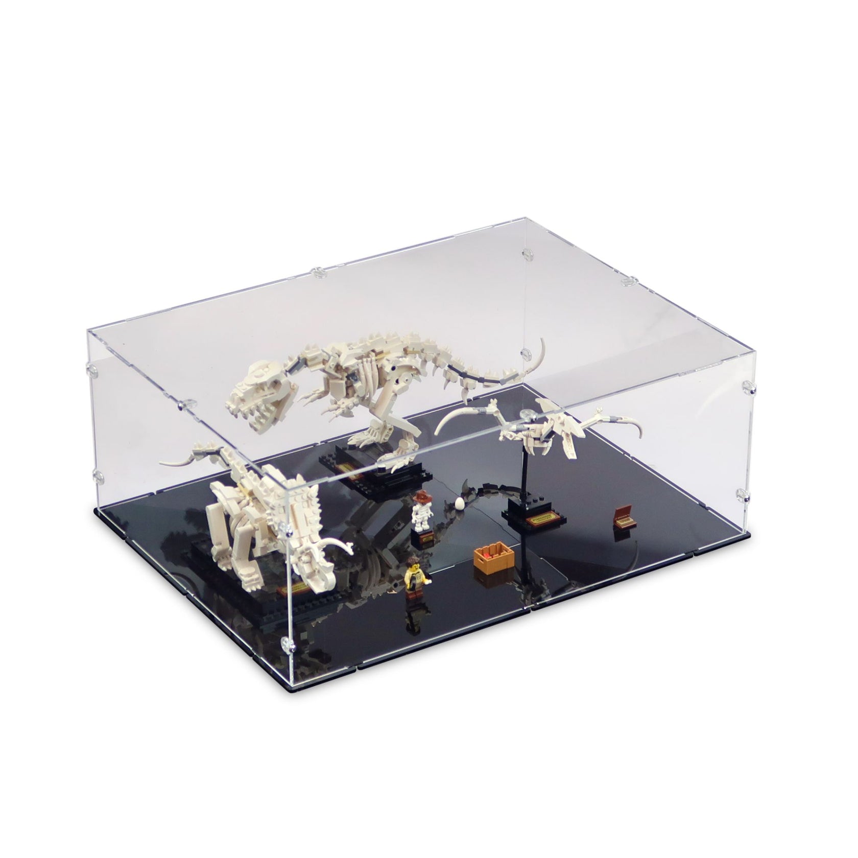 21320 Dinosaur Fossils Display Case – Kingdom Brick Supply