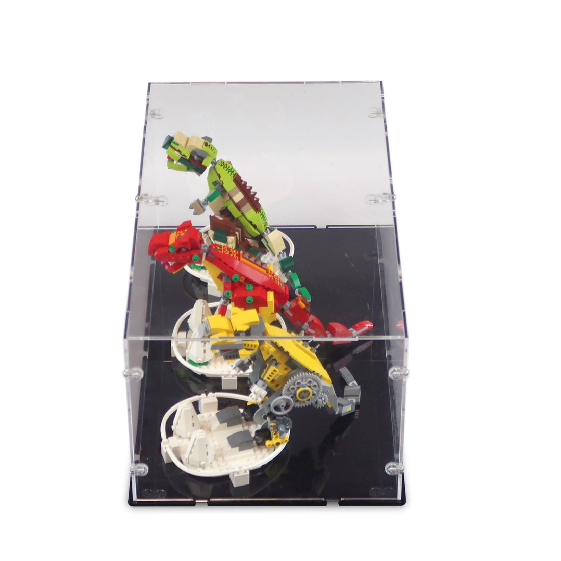 40366 LEGO® House Dinosaurs Display Case – Kingdom Brick Supply